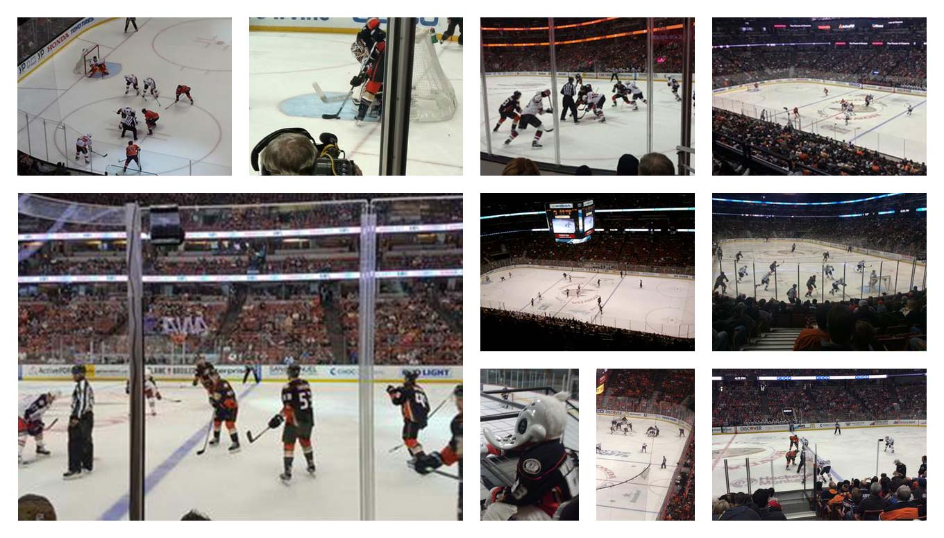 Anaheim Ducks Fans Form a Powerful Flock