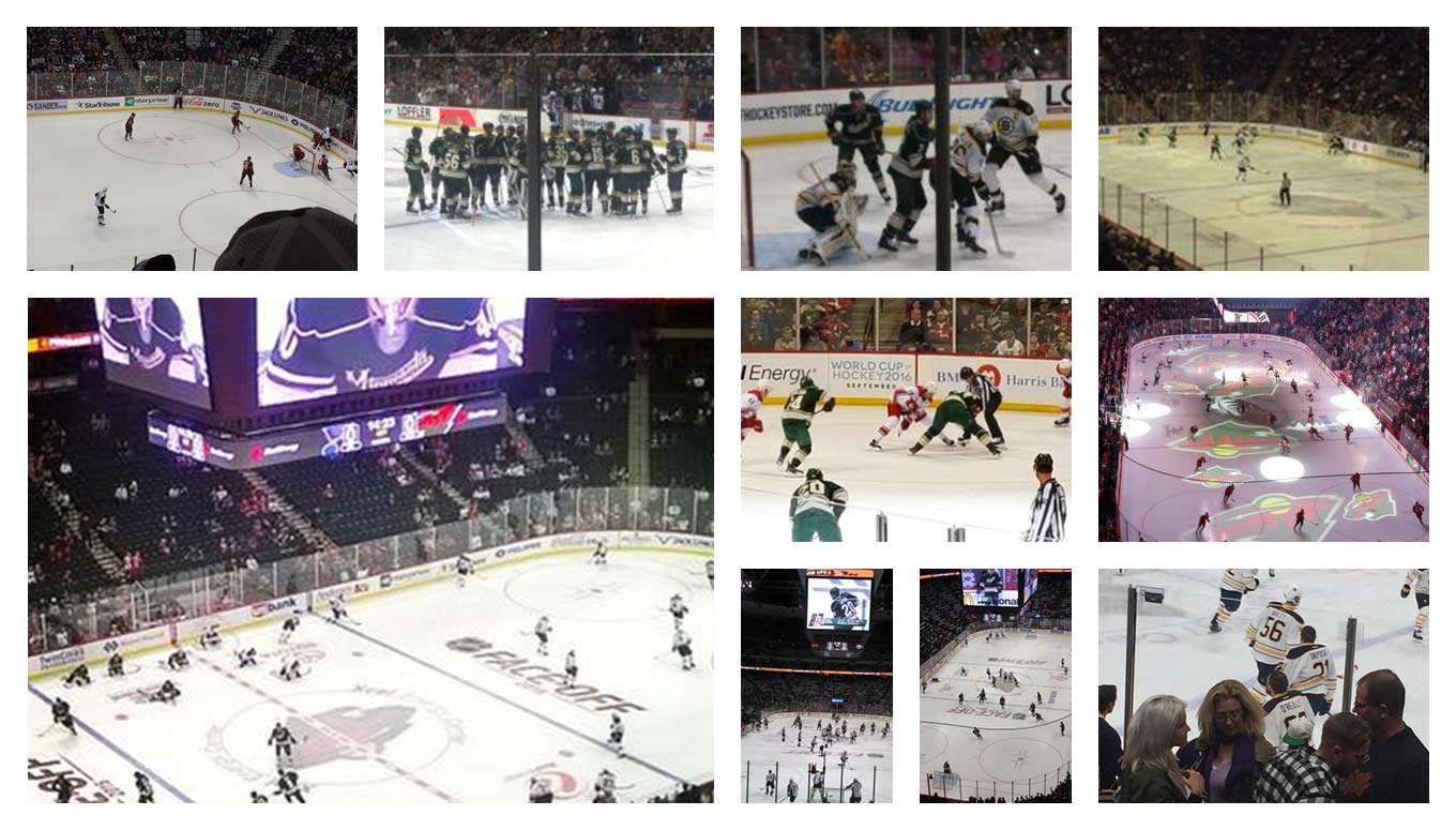 Minnesota Hockey Fans Are Wild About Their Team